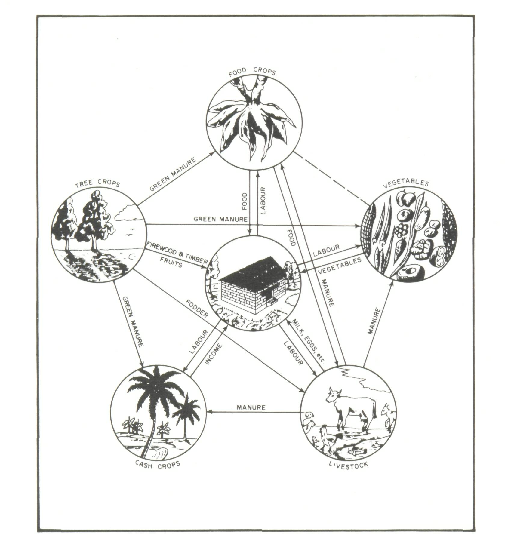 3.3:Agroforestry in the Indian subcontinent: past, present and future