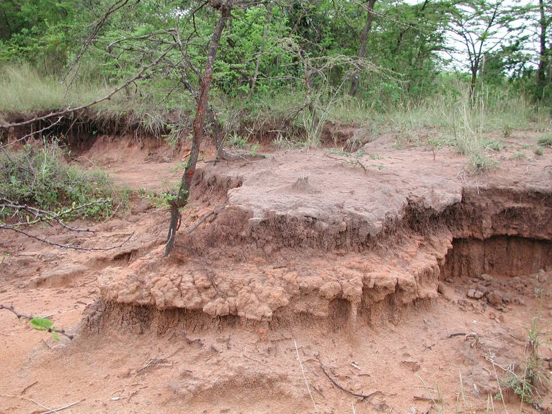 Sensing Soil Condition Project | Lake Victoria - River Nyando Basin